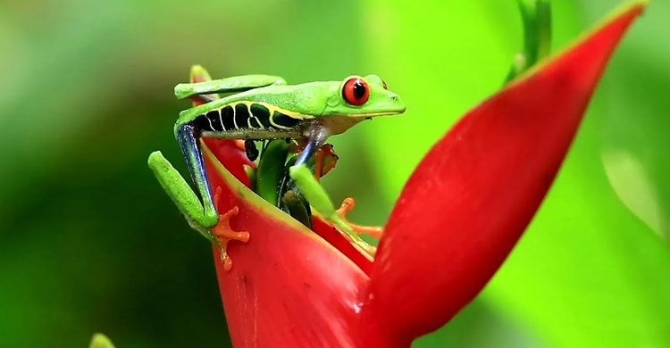 Xerox Versant 280 Production Printer | Colyer.